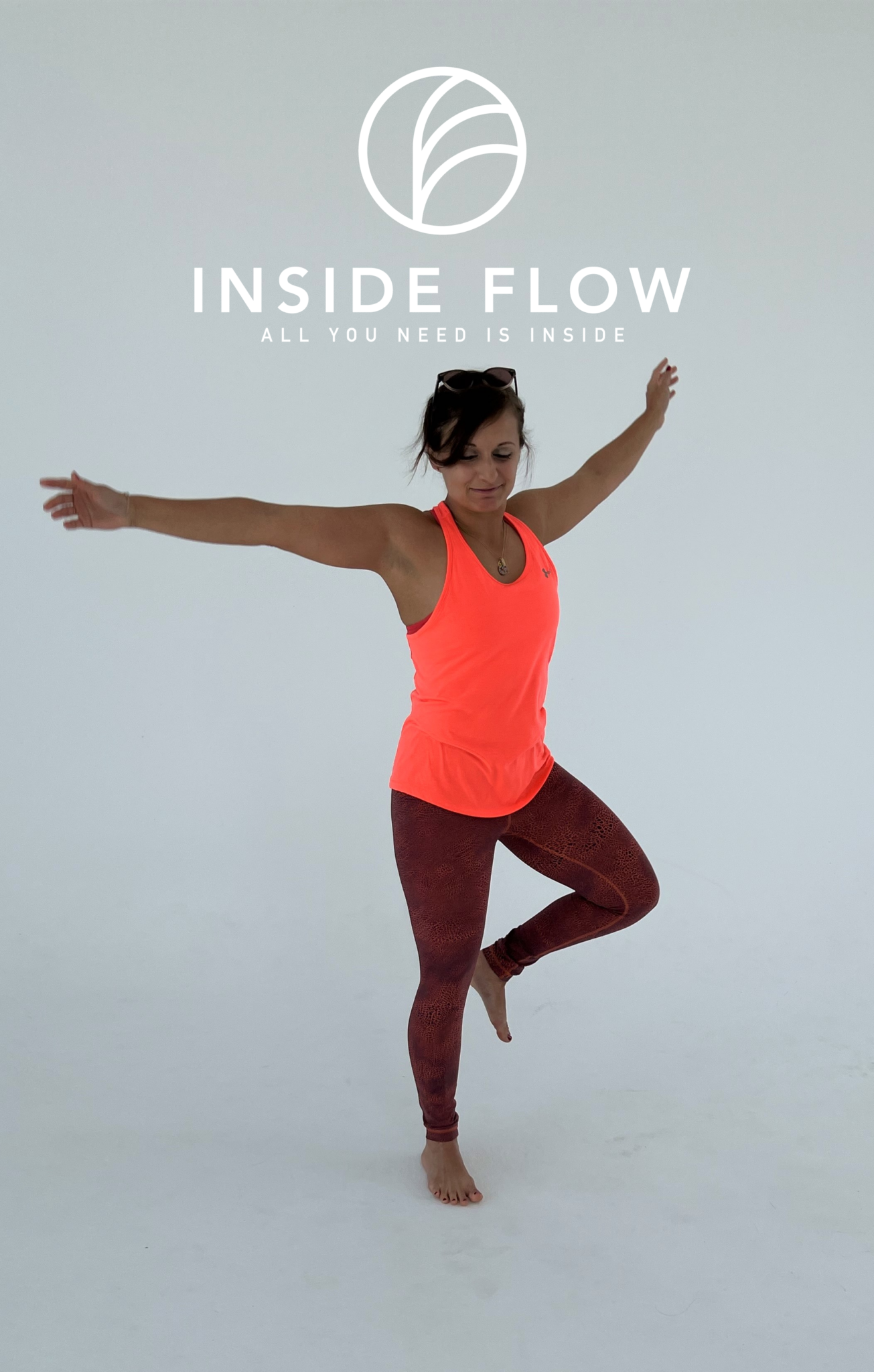 Inside Flow - Vane's Jump and Flow